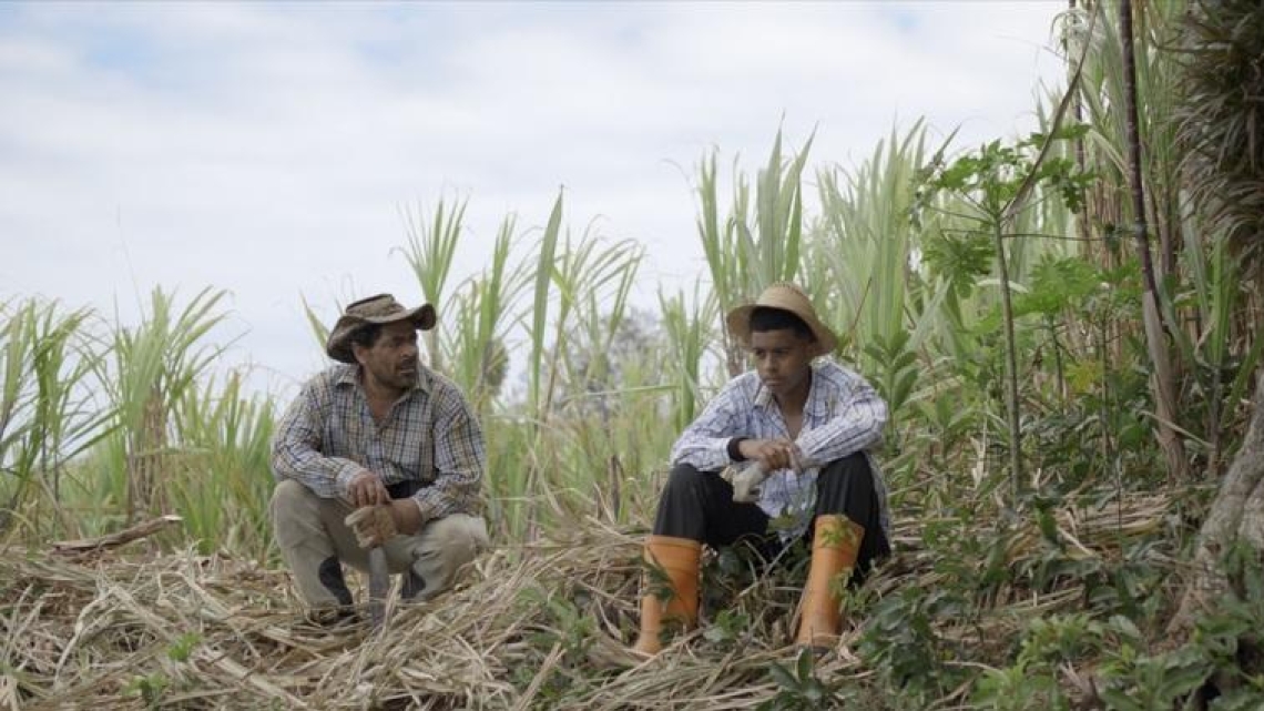Reine Kayanm | FranceTvPro.fr